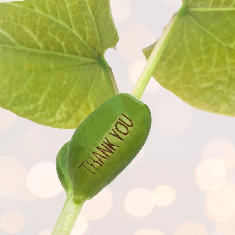 Thank You Card 'magic Message Bean' Thank You Card - Etsy UK