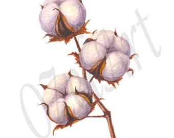 Cotton Flower Ball Branch Organic Watercolor Painting Digital Download ...