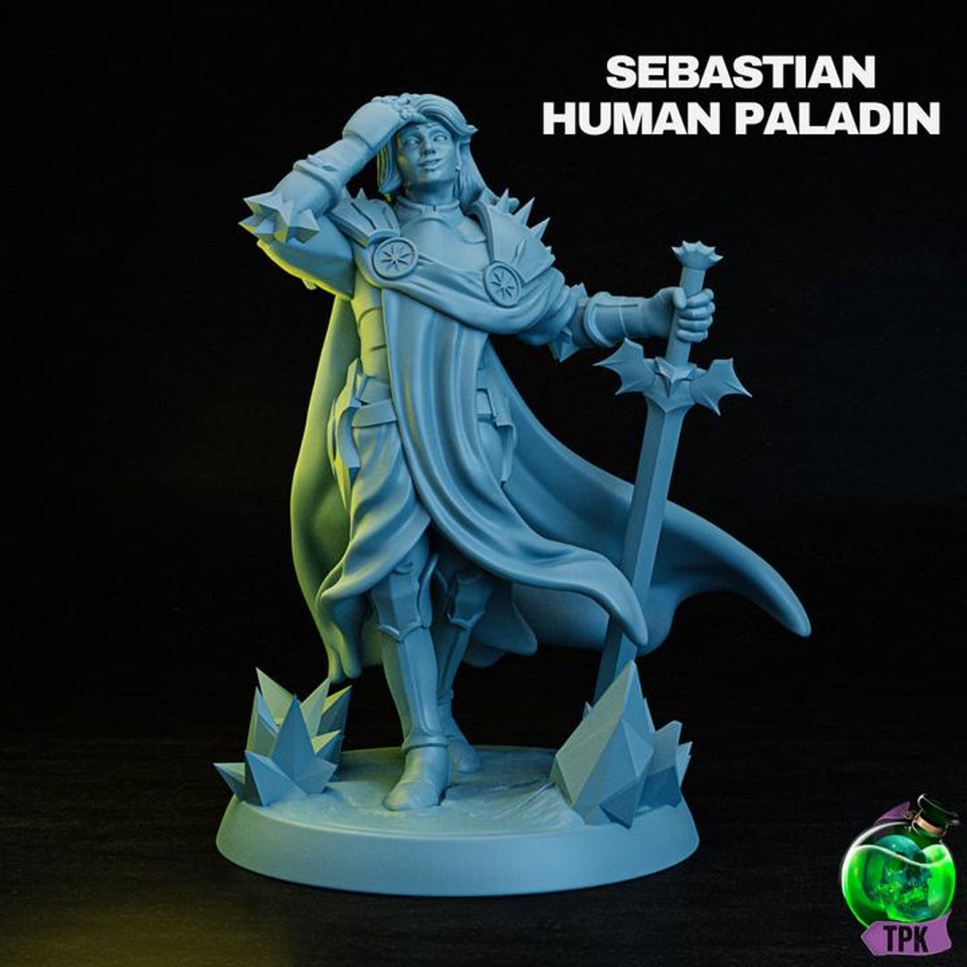 Sebastian, Human Paladin | Dnd/table Top Mini | TPK Lab Minatures - Etsy