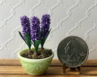 Miniature Hyacinth | Etsy