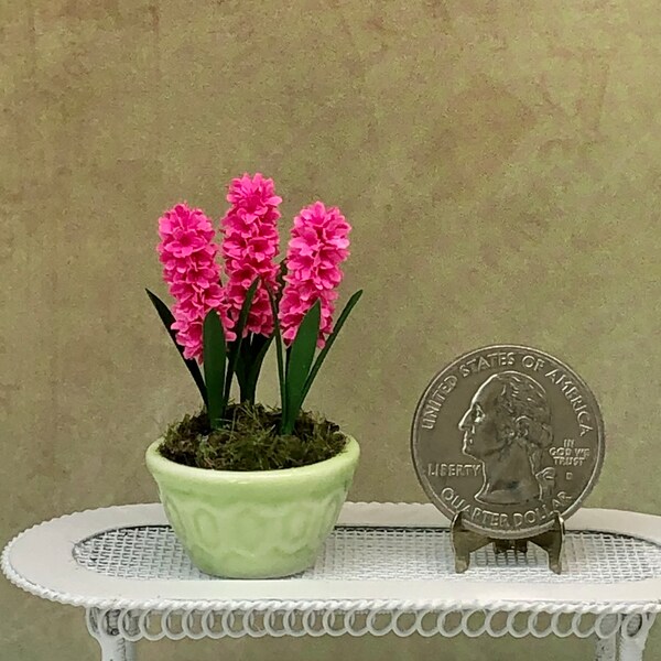 Miniature Hyacinth - Etsy