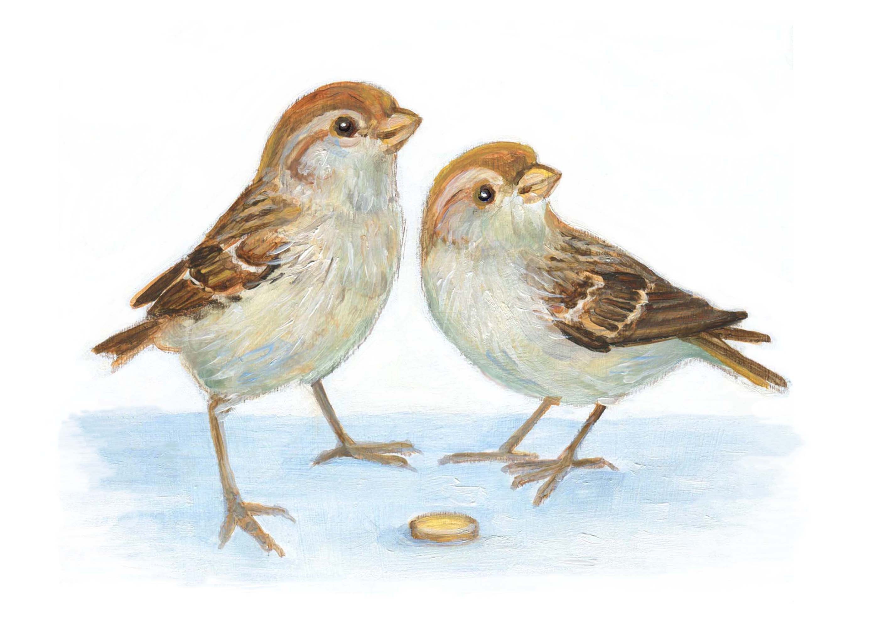 Two Sparrows Drawing