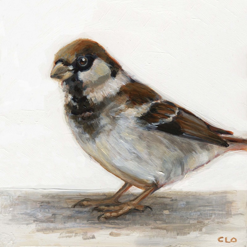 Sparrow Painting - Etsy