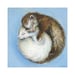 Ferret Cuddle Print, Sweet Print of Two Sleeping Ferrets Cuddled ...
