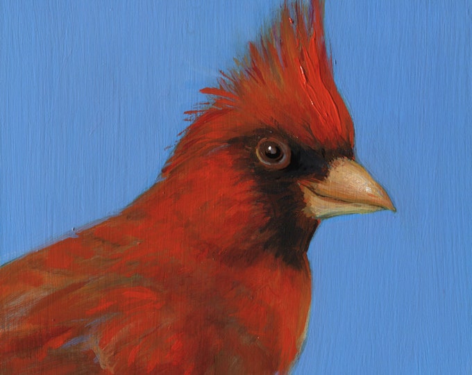 Cardinal Bird Fine Art Print, A Small Portrait of a Cardinal From My ...