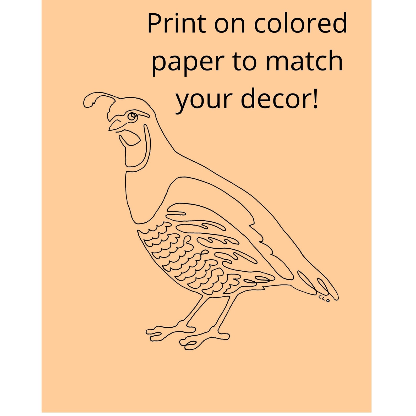 Quail Digital Art Download Modern Minimal One Line Ink - Etsy