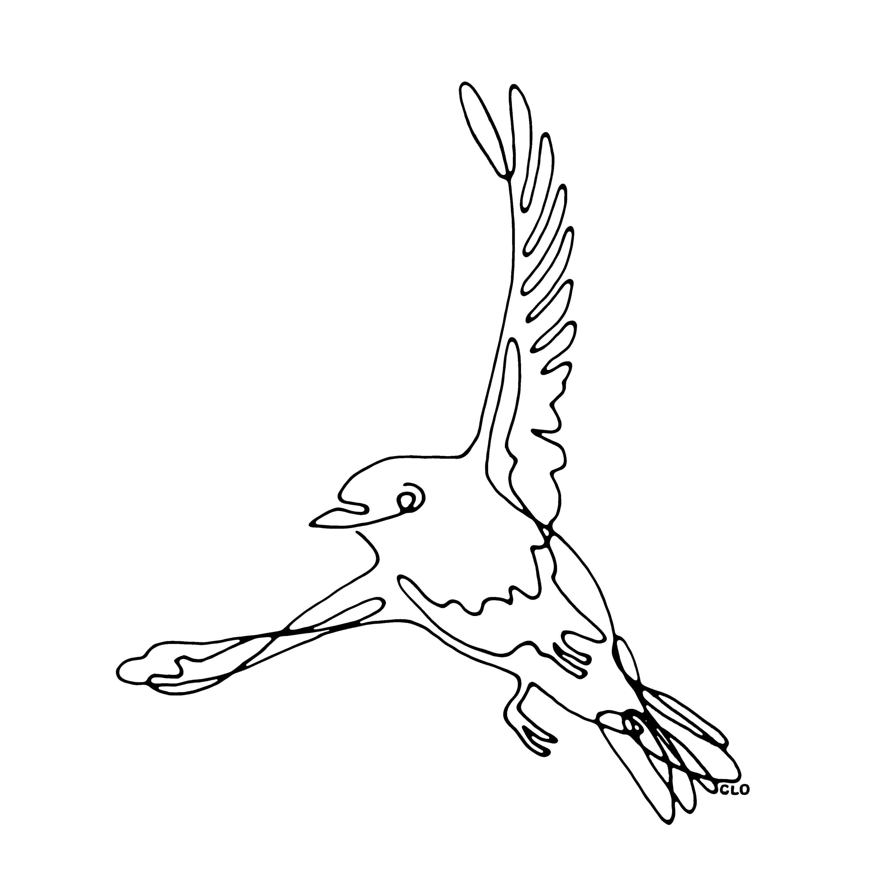 How To Draw A Flying Bird