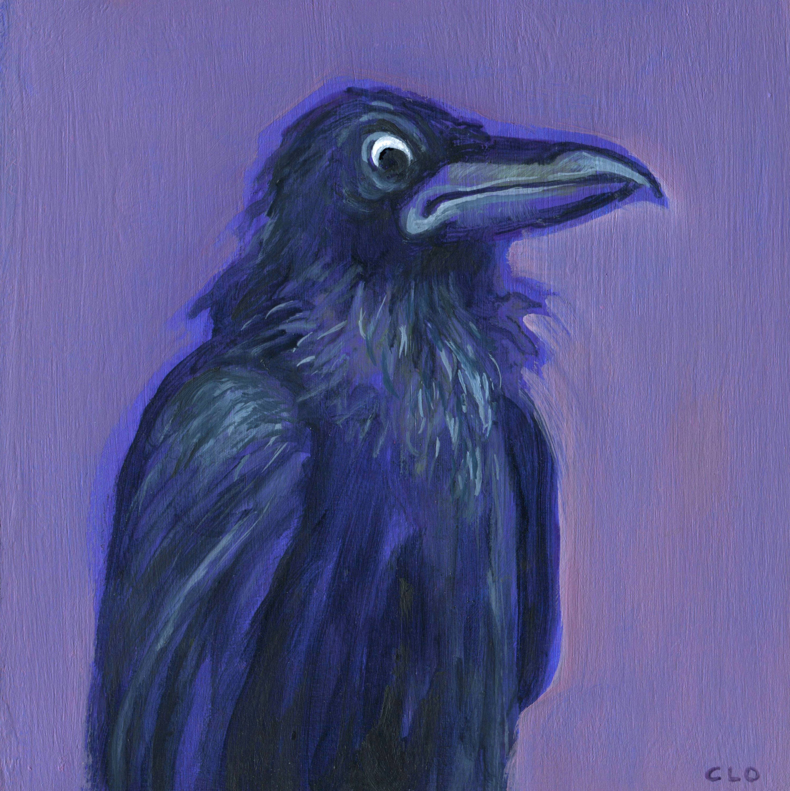 Bright Raven Art Print, A Raven Named Edgar, Nevermore Raven, Raven ...