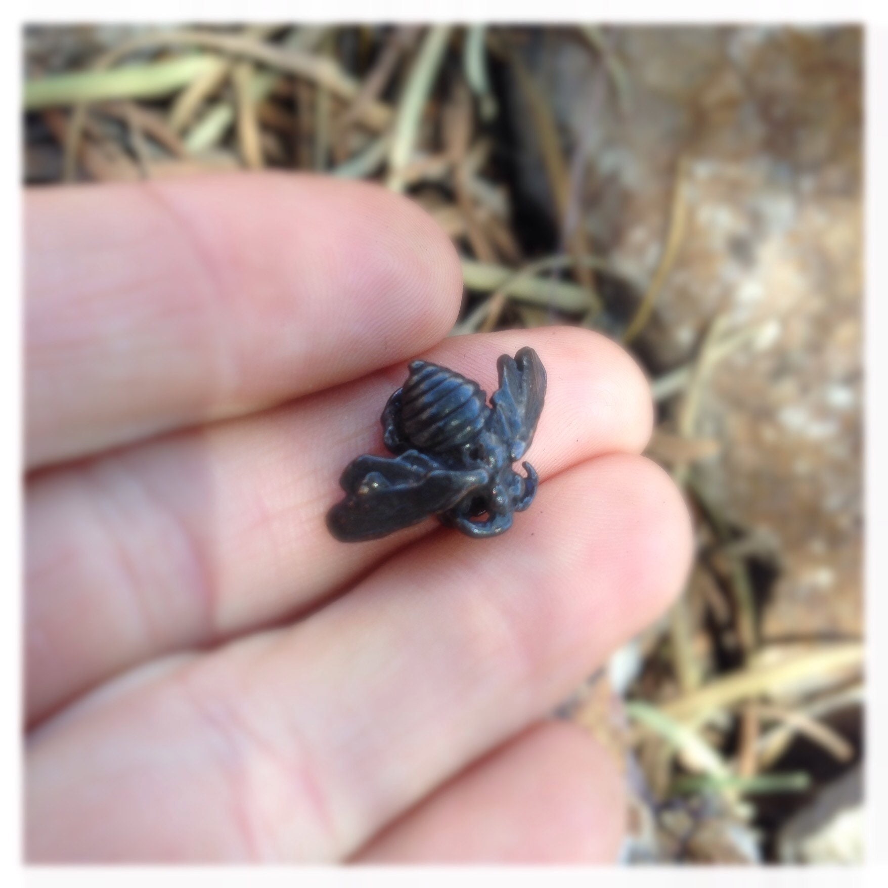 Antiqued Bronze Bumble Bee Bead by Robert Burkett / Lost Wax Casting ...