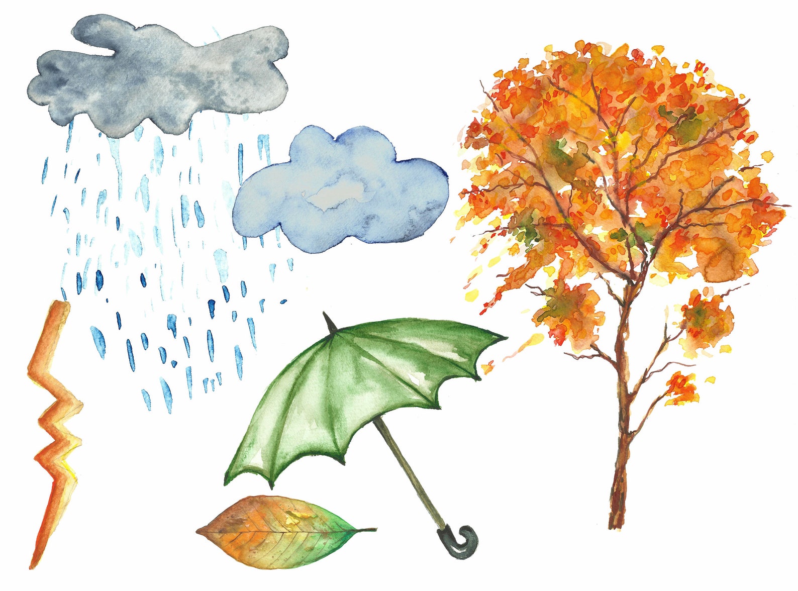 Fall Rain Clipart Watercolor. Watercolor Umbrellas Clip Art. Autumn ...