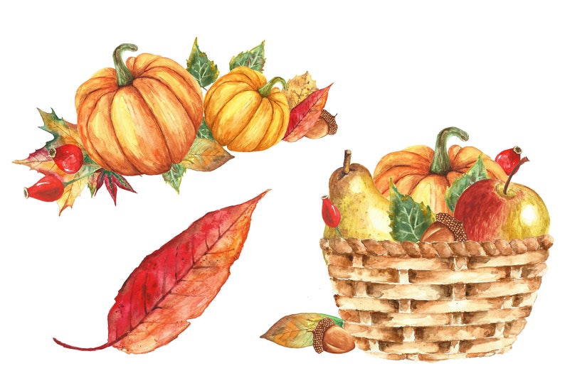 Fall Clipart Watercolor. Autumn Clip Art Instant Download. Pumpkin ...