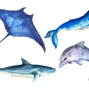 Sea Life Watercolor Clipart, Fish Clip Art Watercolor. Ocean Clip Art ...