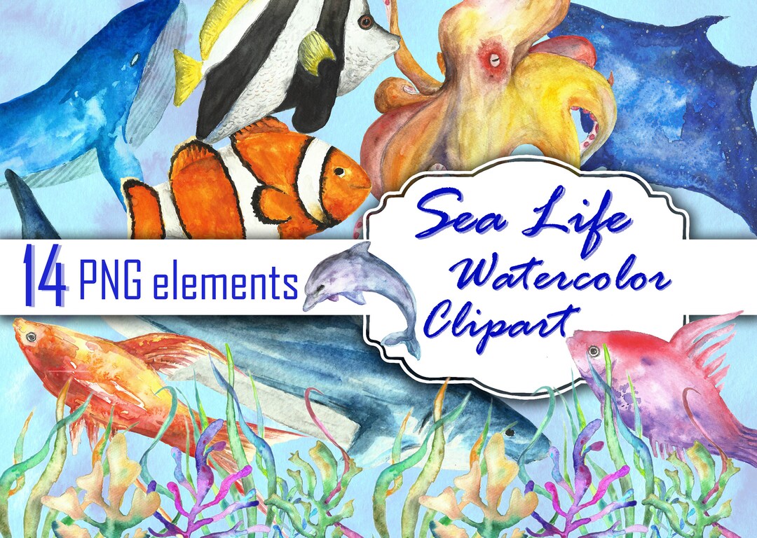 Sea Life Watercolor Clipart, Fish Clip Art Watercolor. Ocean Clip Art ...