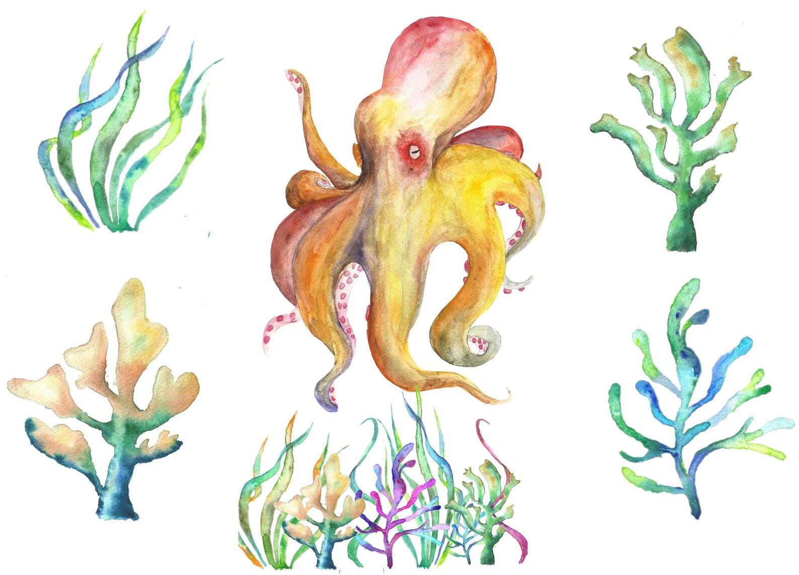 Sea Life Watercolor Clipart, Fish Clip Art Watercolor. Ocean Clip Art ...