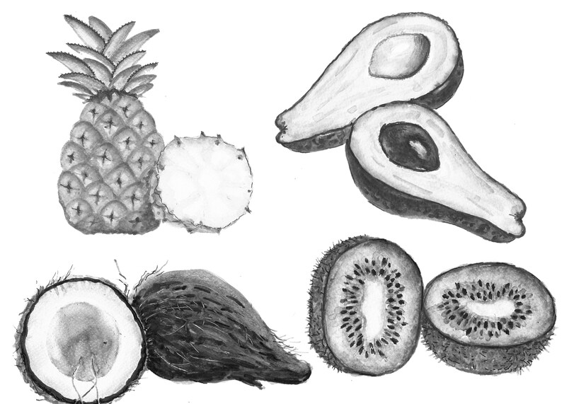 Watercolor Fruit Clipart. Food Hand Painted Cliaprt. Fruits Clip Art ...