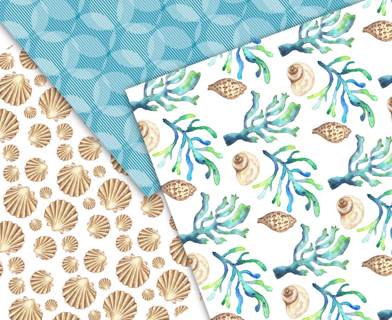 Under the Sea Paper Pack. Shell Paper Watercolor. Sea Pattern ...