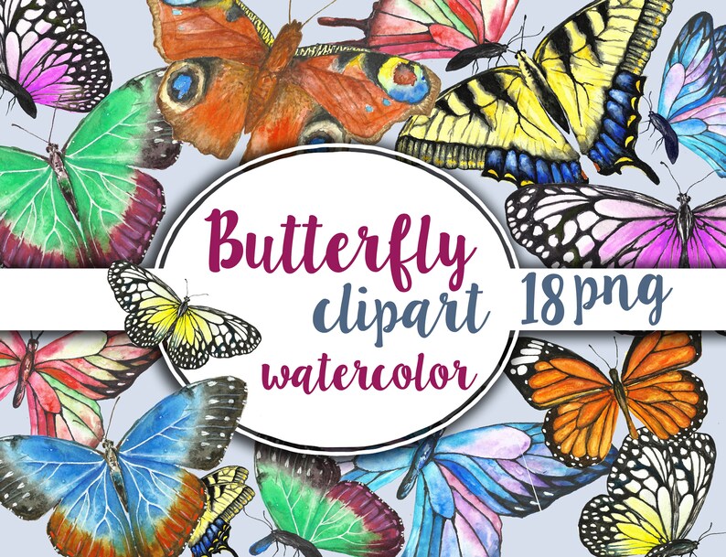 Butterfly Watercolor Clipart Hand Drawn Butterflies Clip Art - Etsy