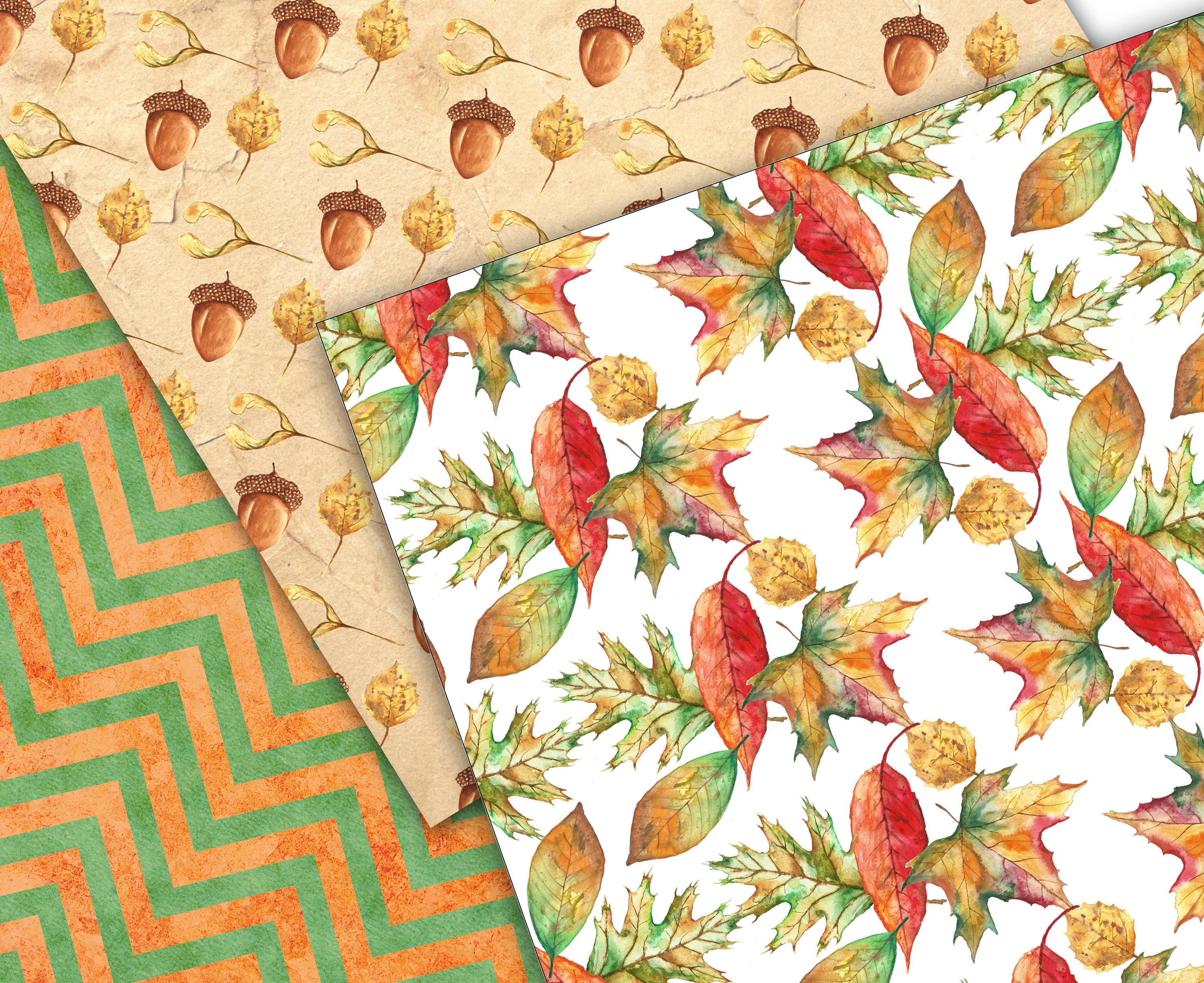 Fall Paper Pack. Autumn Digital Paper Hand Painted. Fall Leaves Pumpkin ...