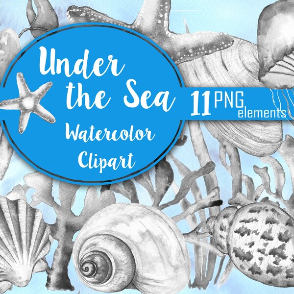 Sea Shell Black and White Clip Art - Etsy