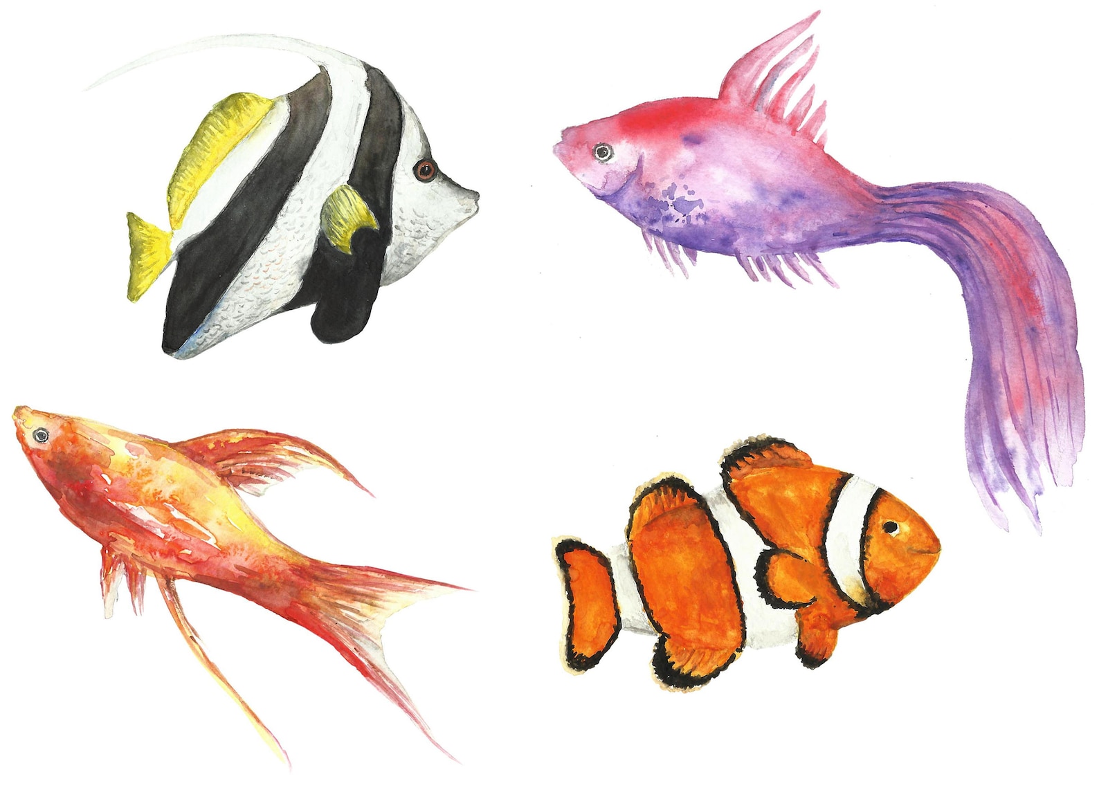 Sea Life Watercolor Clipart, Fish Clip Art Watercolor. Ocean Clip Art ...
