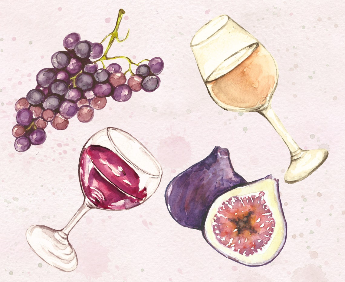 Wine and Cheese Clipart. Hand Painted Watercolor Wine Cheese Grapes ...