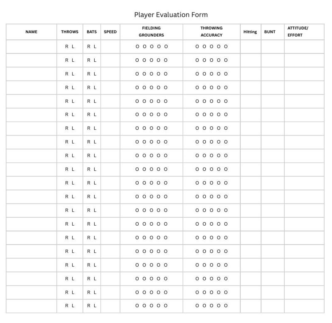 Softball/baseball Player Evaluation PDF Form Printable - Etsy