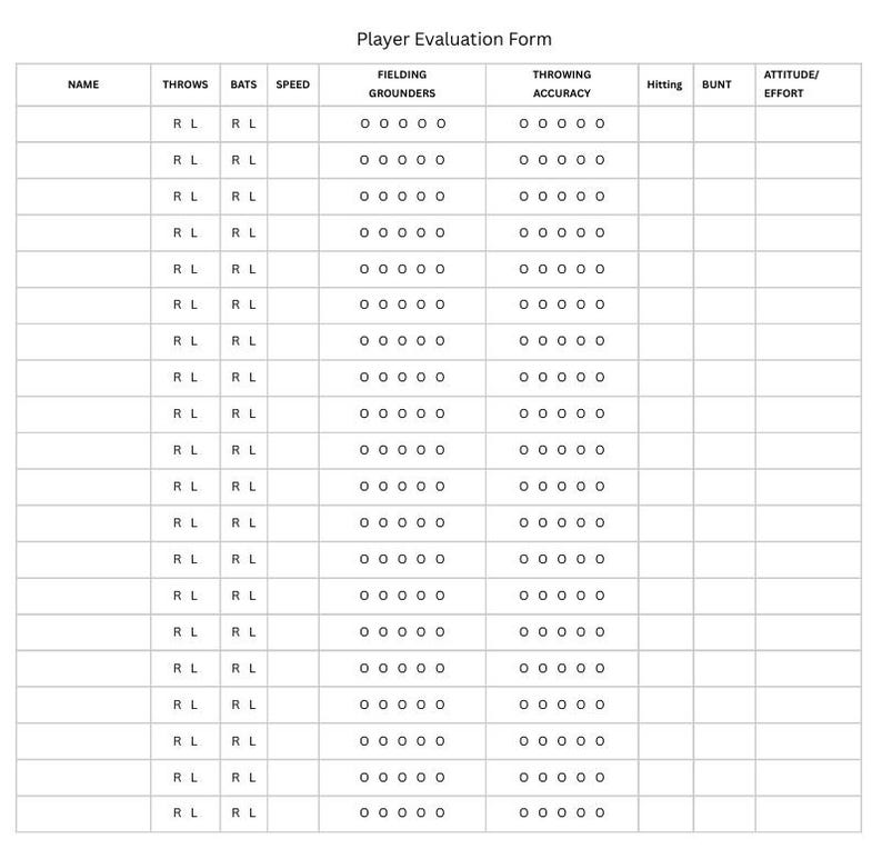 Softball/baseball Player Evaluation PDF Form Printable - Etsy