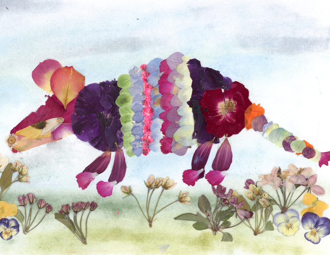 Pressed Flower Armadillo Art, Real Flower Art PRINT, Whimsical ...