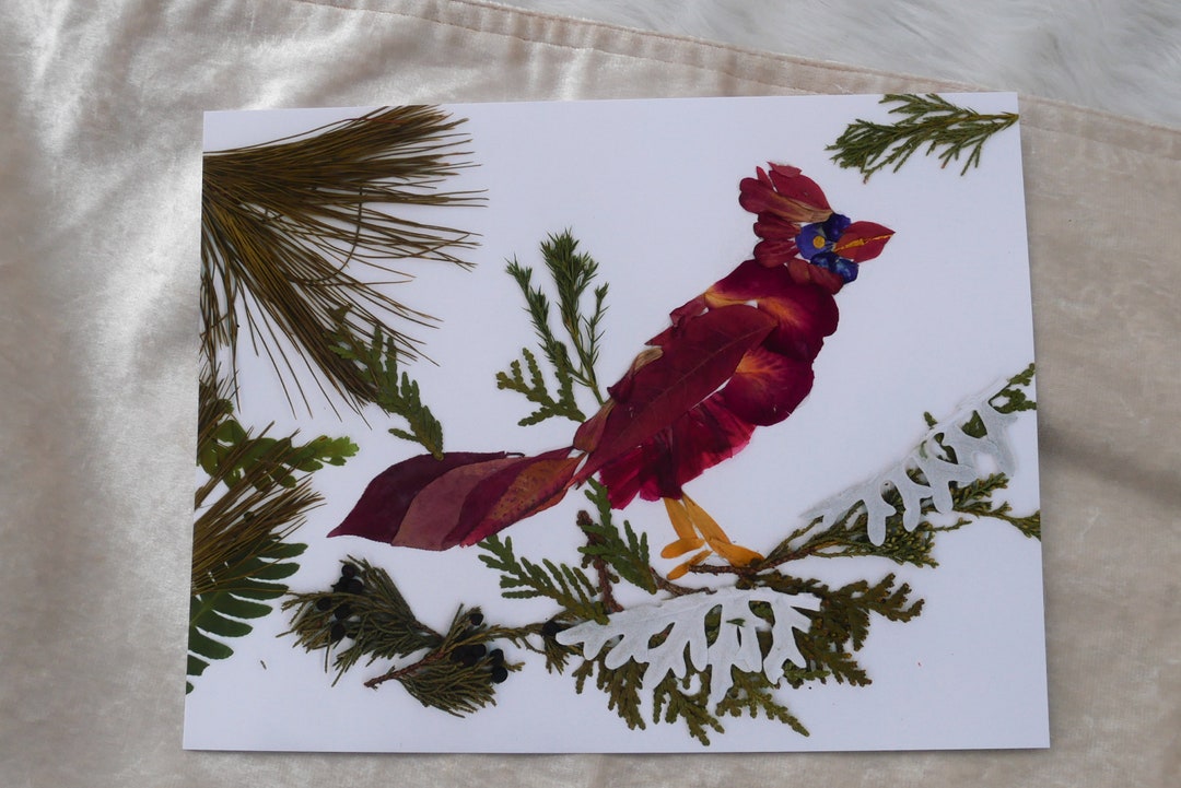 Pressed Flower Cardinal Art, Real Flower Art PRINT - Etsy