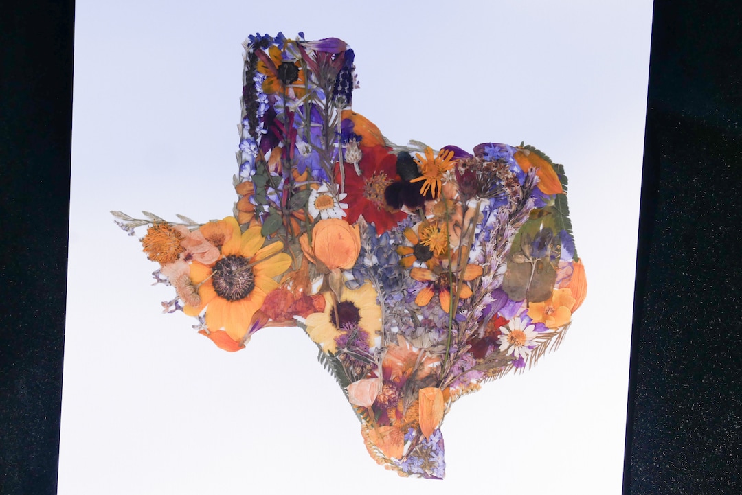 Pressed Flower Texas Art, Real Flower Art ORIGINAL, Texas Wall Art - Etsy