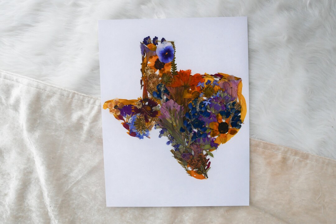 Pressed Flower Texas Art, Real Flower Art PRINT, Texas Wall Art - Etsy