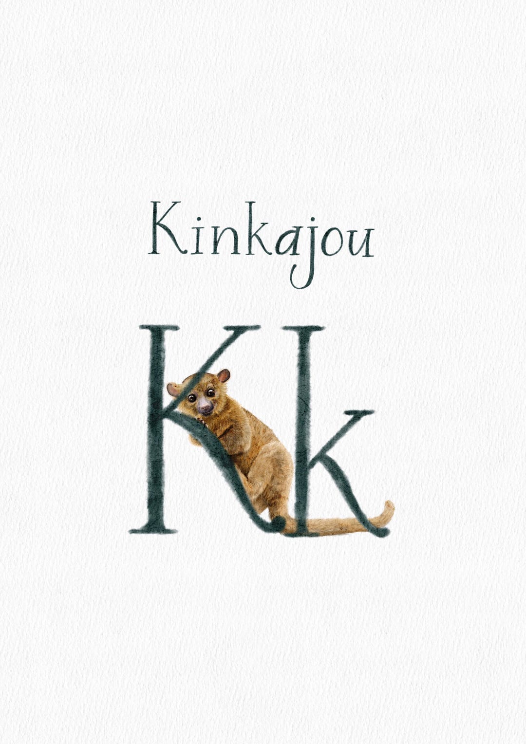 Kinkajou Alphabet Animal Print / Letter K Nursery Art (11x17) - Etsy