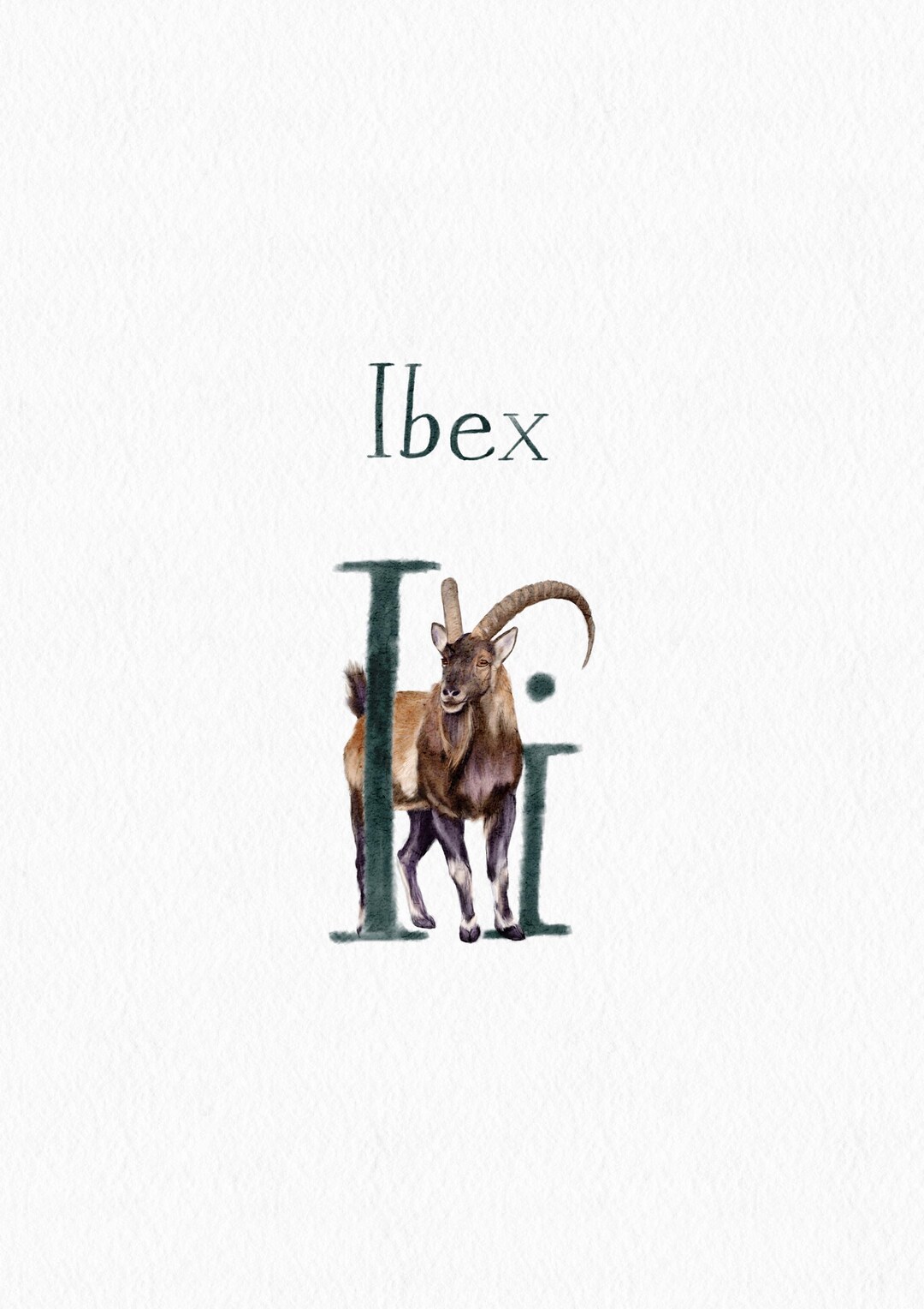 Ibex Alphabet Animal Print / Letter I Nursery Art (11x17) - Etsy