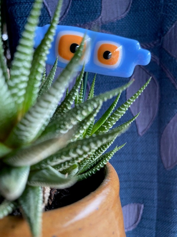 Hooligans: Goofy Eyes Plant Stake, Plant Accessory - Etsy