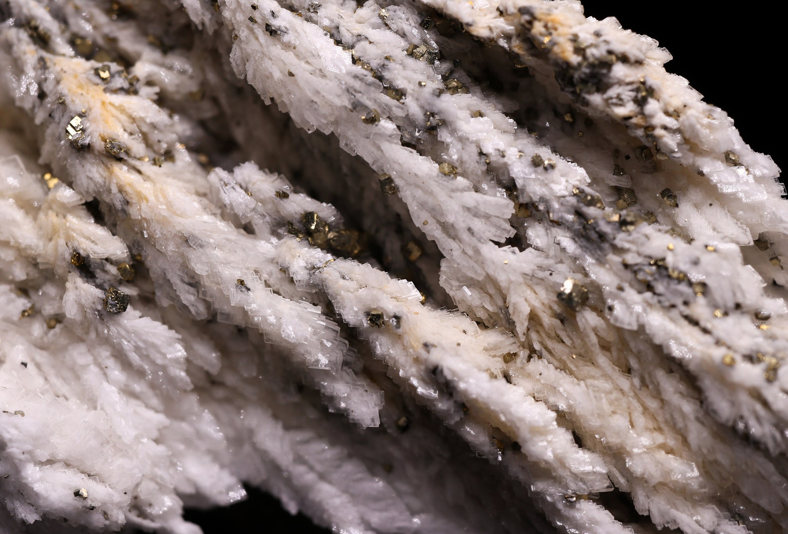 Pyrite on Calcite Dendrite and Barite N'Chwaning I South | Etsy