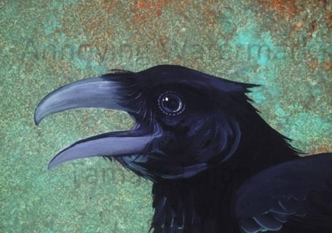 Crow Study With Rust & Teal / Created by Tamara Lujan / Acrylic ...