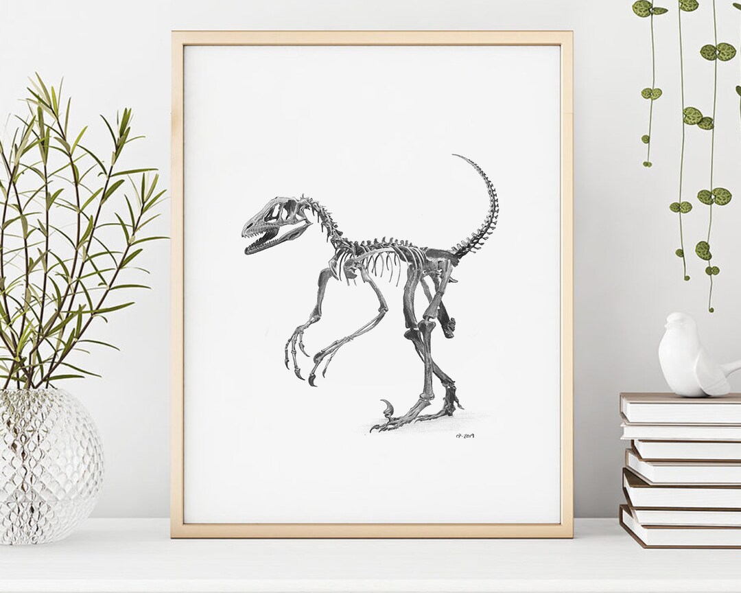Raptor - Art Print - Etsy