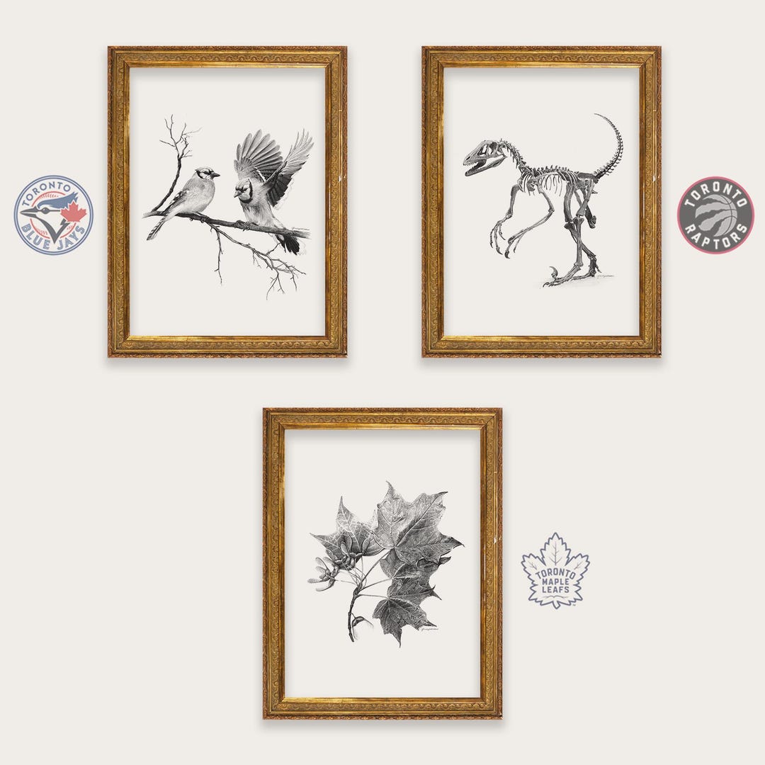 Toronto Sports Trio - Blue Jays; Raptors; Maple Leafs - Art Prints (set ...