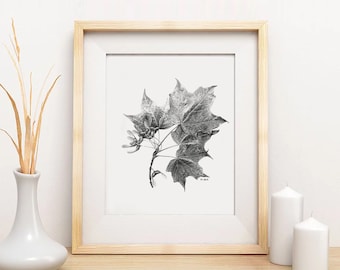 Maple Leaf Print - Etsy