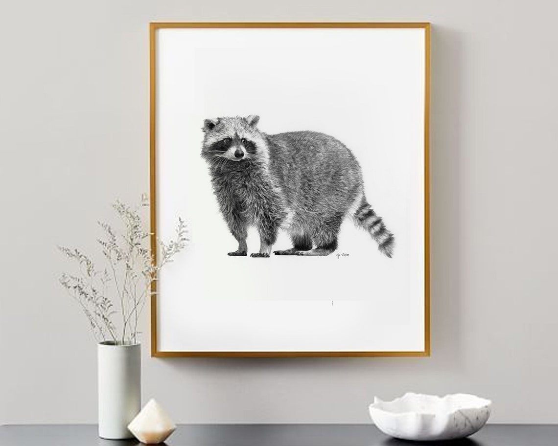 Raccoon Art Print - Etsy