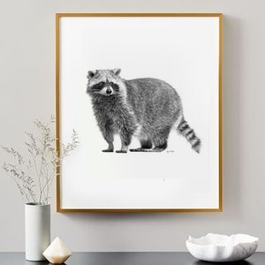 Raccoon Art Print - Etsy