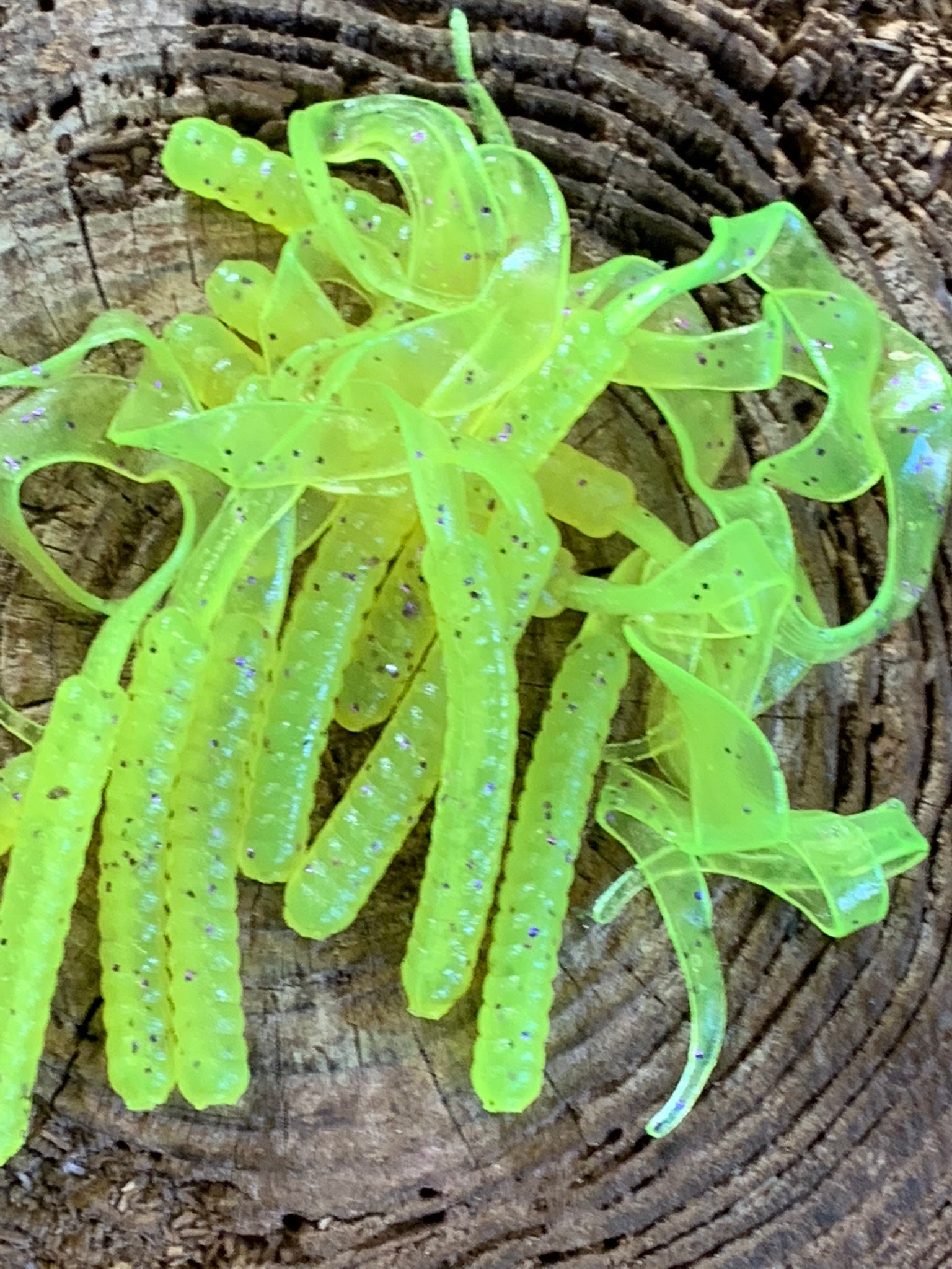 Ribbon Worm Computer Wallpapers