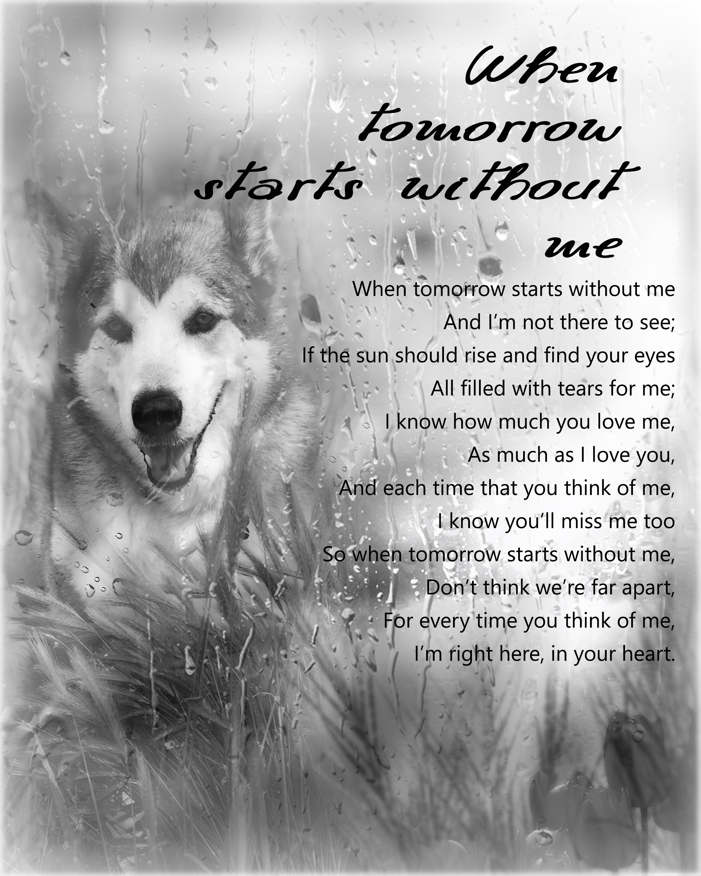 Personalized Dog Portrait | When Tomorrow Starts Without Me | Loss Pet ...