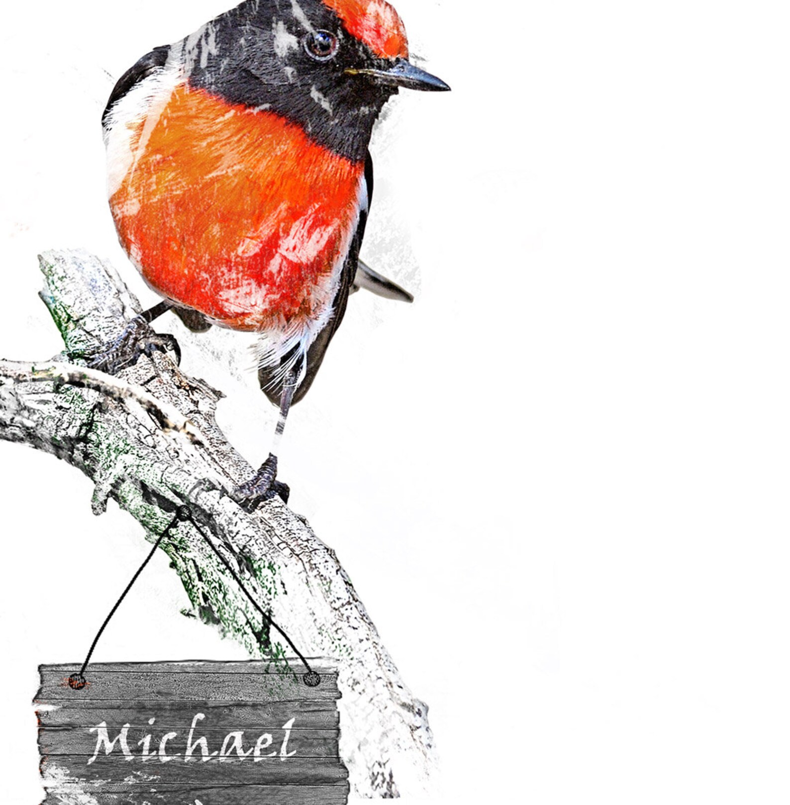 Robins Appear When Loved Ones Are Near, Parents Memorial Print, Robin ...