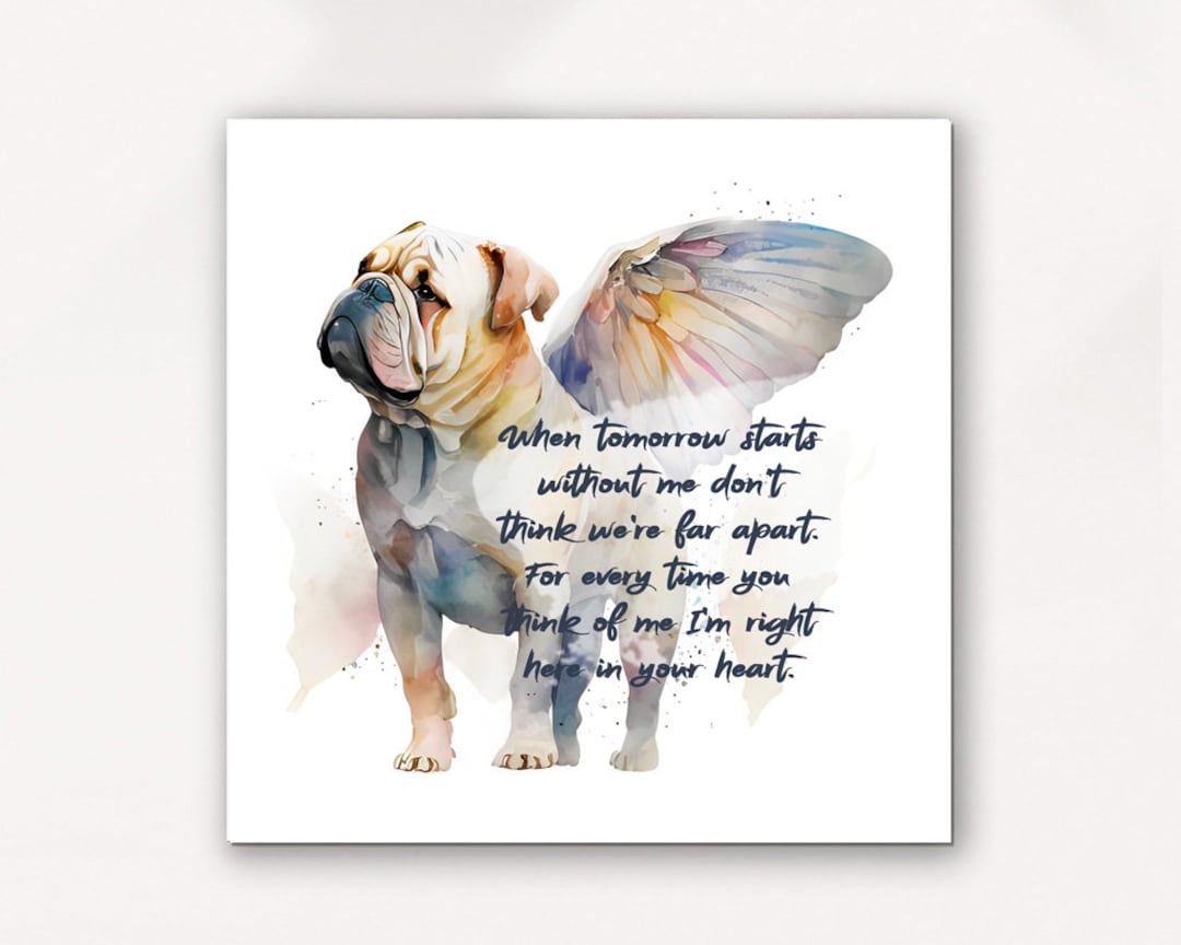 Loss of Bulldog | Loss of Dog | A Piece of My Heart Lives in Heaven ...