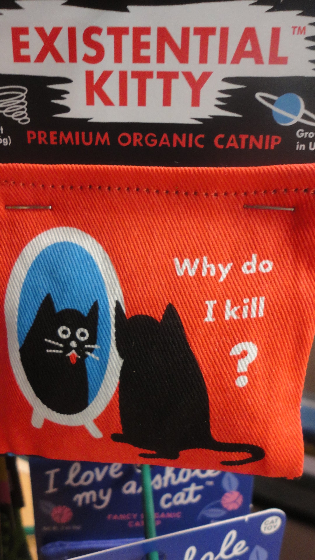 Cat - Kitten -catnip Toy - Existential Kitty - Etsy