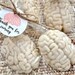Brain Shaped Soap Favors - Surgeon Doctor New Grad Party Decoration ...