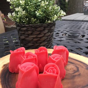 12 RED ROSE SOAPS Bridal Shower Gift Bridal Shower Favors - Etsy