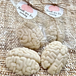 Brain Shaped Soap Favors - Surgeon Doctor New Grad Party Decoration ...