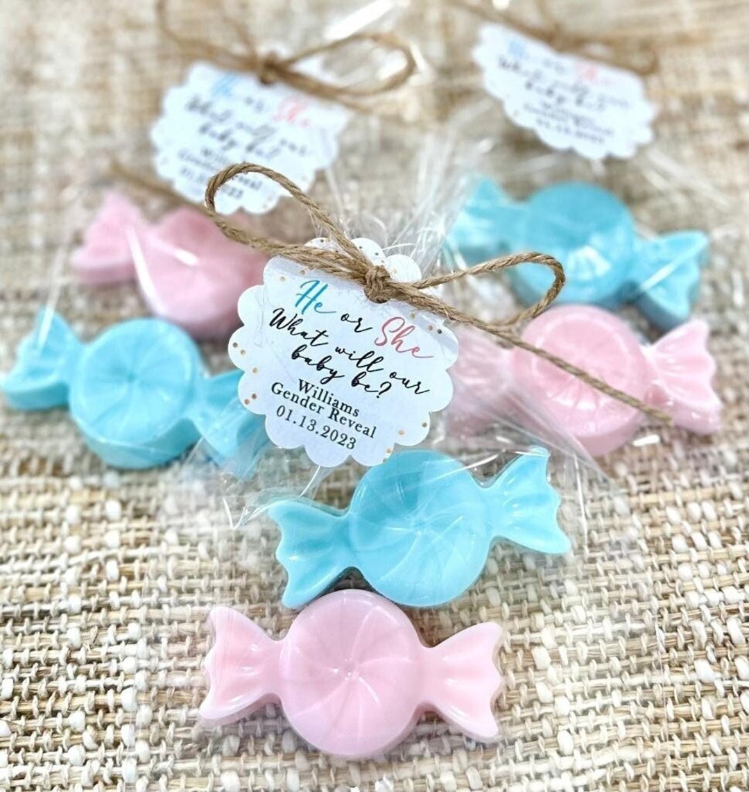 Gender Reveal SOAP Favors - He or She What Will Our Baby Be Gift for ...